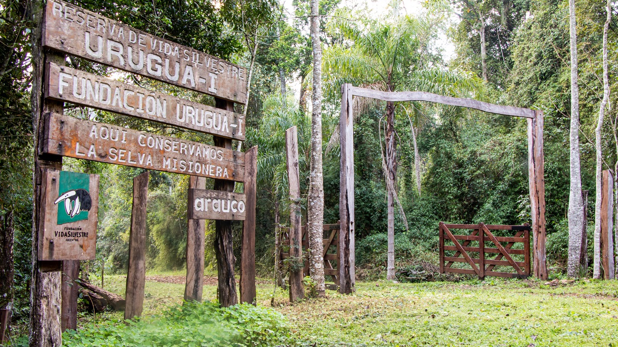 Reserva de Vida Silvestre Urugua-í, 25 años | Fundación Vida Silvestre ...